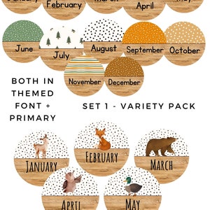 Woodland Class Birthday Display - Etsy