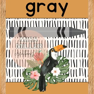 Boho Tropics Classroom Color Posters - Etsy