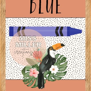 Boho Tropics Classroom Color Posters - Etsy