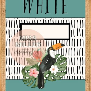 Boho Tropics Classroom Color Posters - Etsy