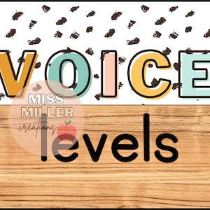 Modern Boho Rainbow Voice Level Classroom Posters - Etsy