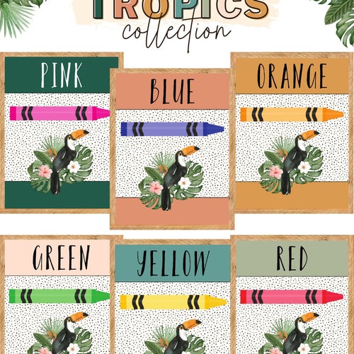 PRINTABLE Color Posters Pack Tropical Classroom Decor - Etsy