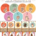 Retro Rainbow Hand Signals Classroom Posters [editable] - Etsy