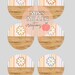 Daisy Dreams Classroom Labels editable - Etsy