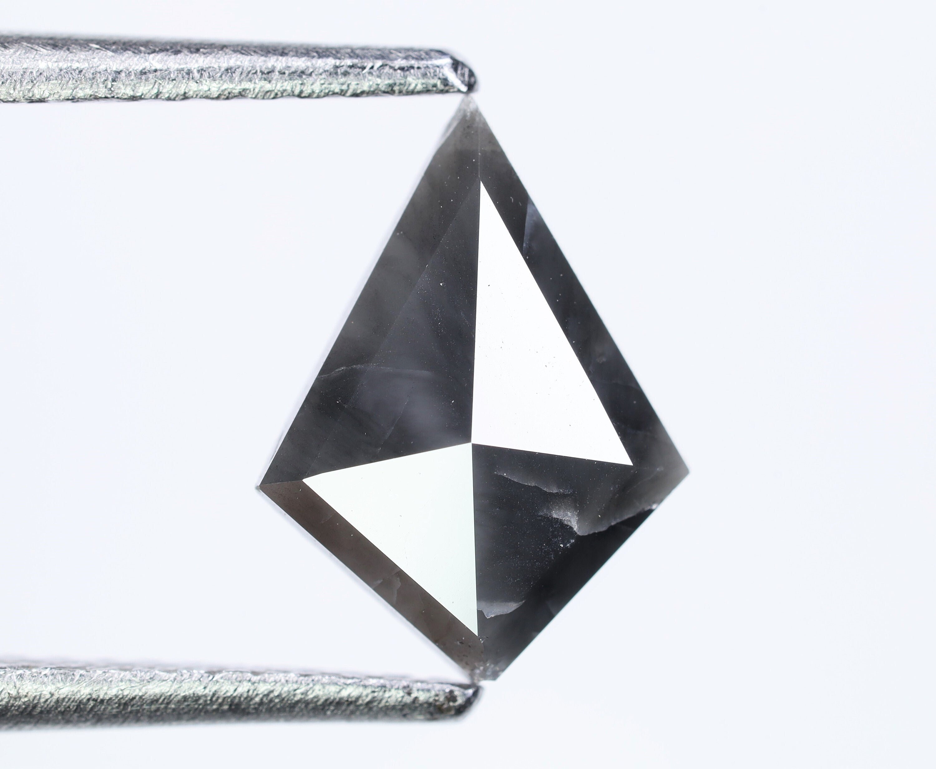 Kite Shape In Nature