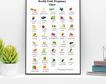 How Big is Our Baby Week by Week Fruit Sizes for Pregnancy - Etsy