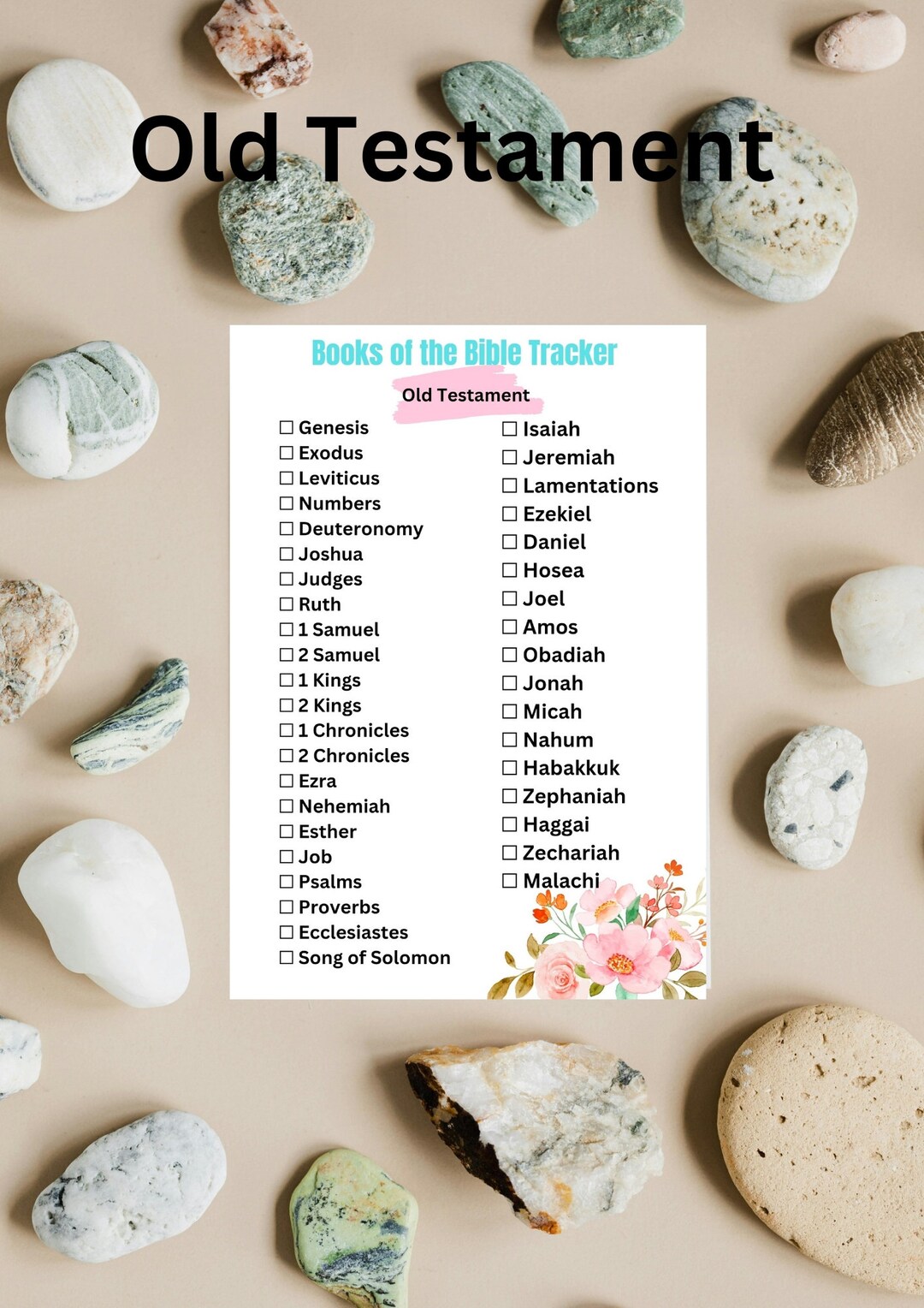 Books of the Bible Tracker I A4 - Etsy