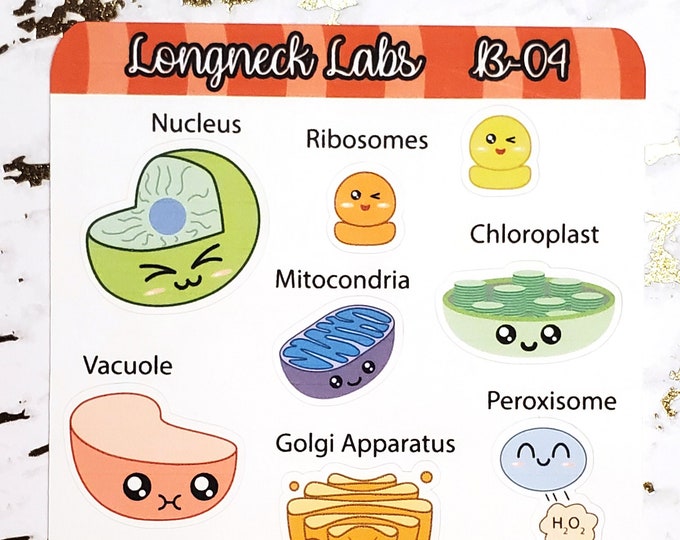What's in a Cell Organelles plant Decorative Science Stickers Journal ...
