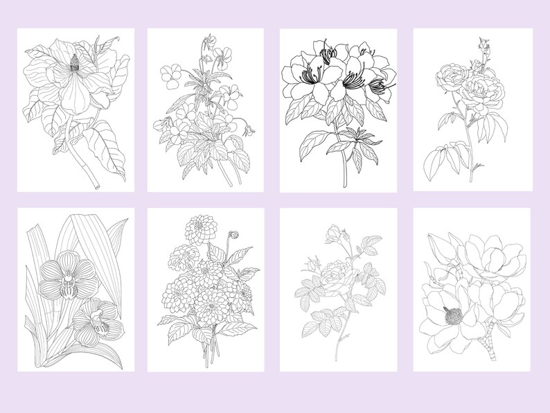 49 Coloring Pages Floral, Botanical, Flowers, Printable, Digital ...