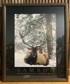 ArapahoeAcresCo - Etsy