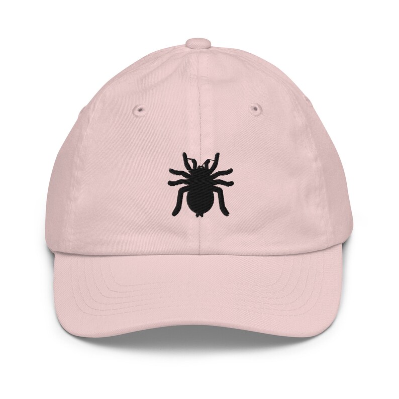 Tarantula Spider Youth Baseball Cap, Handmade Kids Hat, Embroidered ...