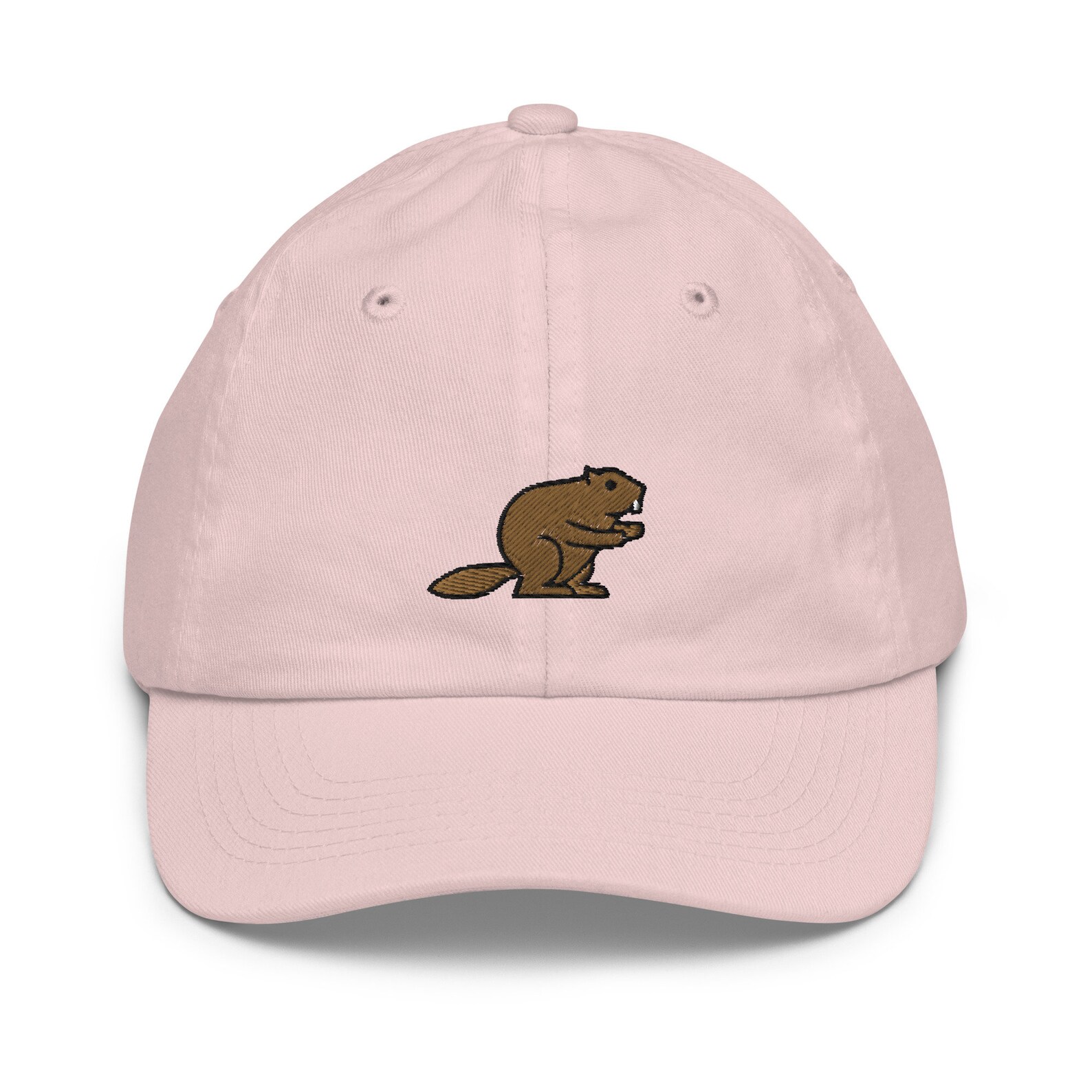 Beaver Youth Baseball Cap, Handmade Kids Hat, Embroidered Childrens Hat ...