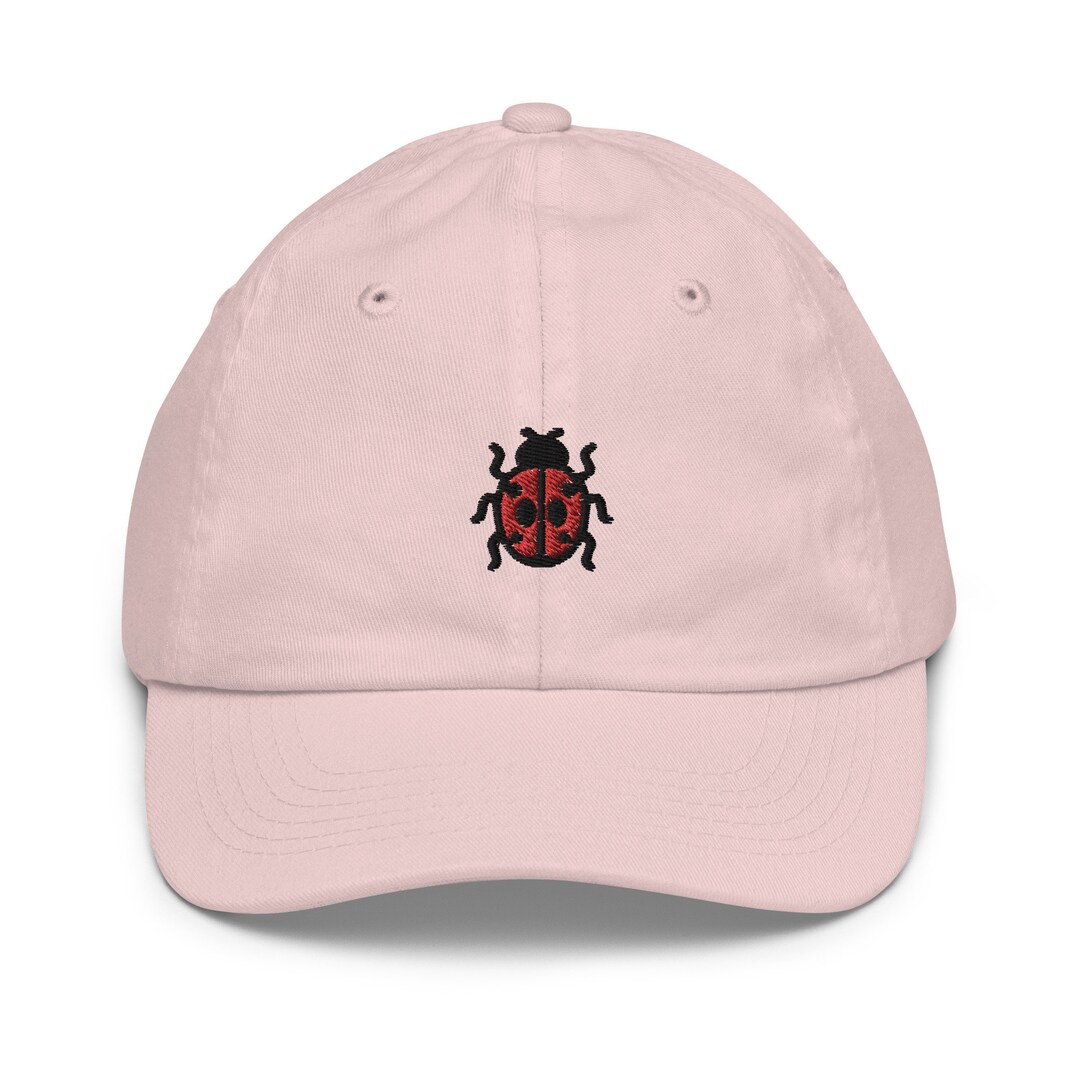 Ladybug Youth Baseball Cap, Handmade Kids Hat, Embroidered Childrens ...