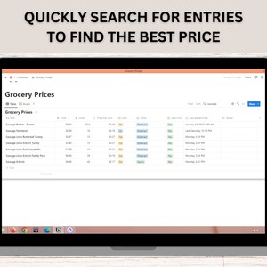 Grocery Prices Tracker Template for Notion - Etsy