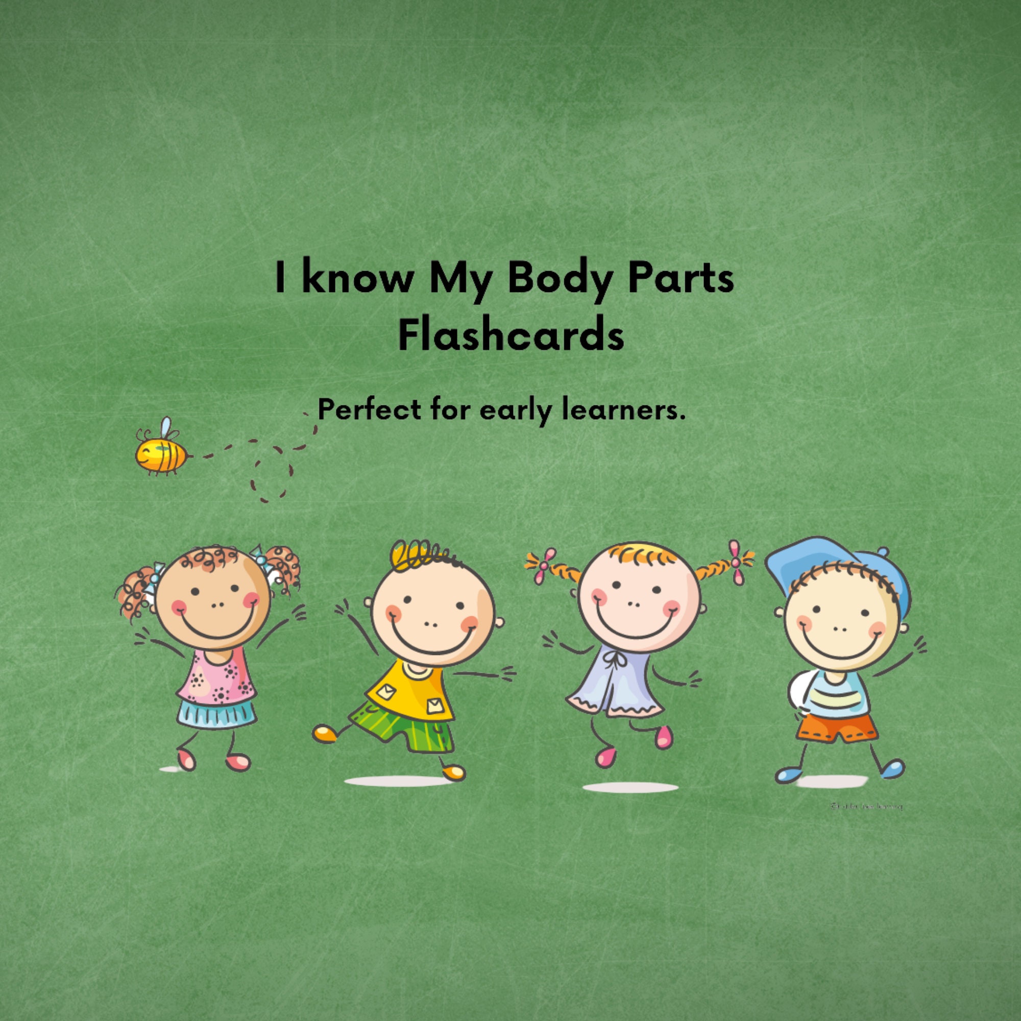 I Know My Body Parts Flashcards Early Learners Flashcards - Etsy