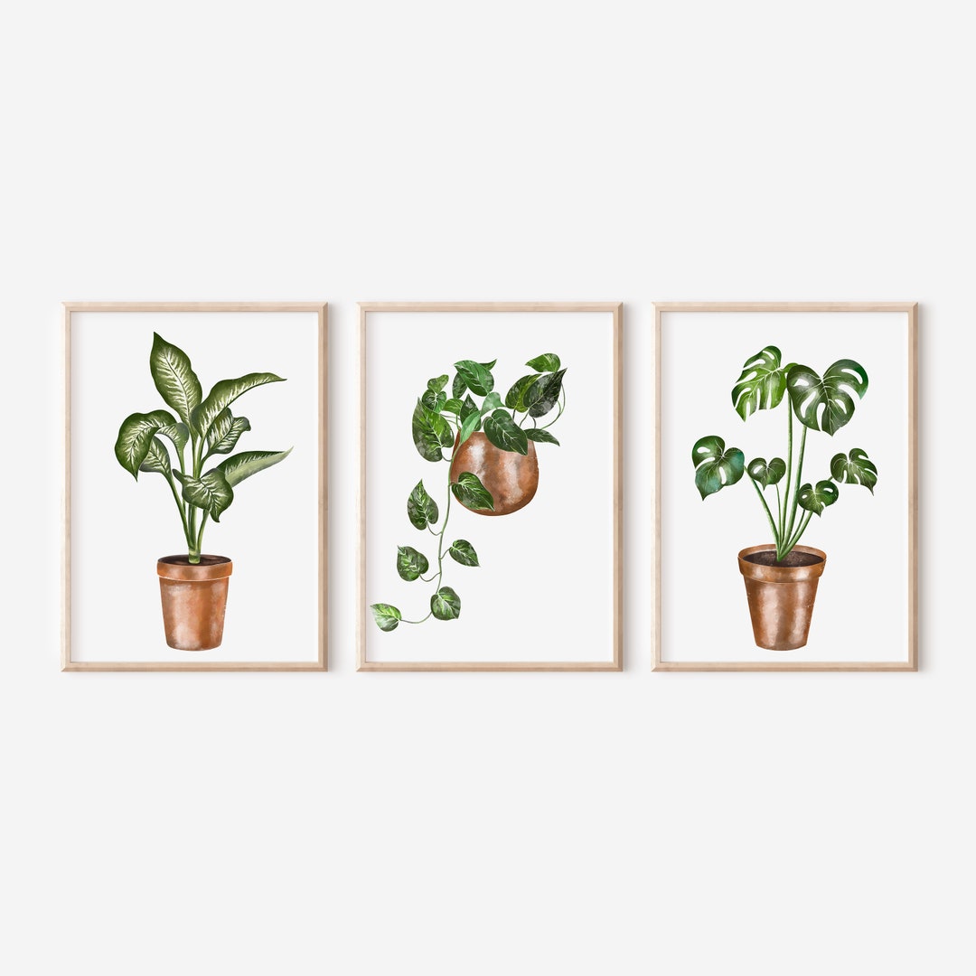 House Plant Print Botanical Print Set Plant Poster Plant Wall Art Plant ...
