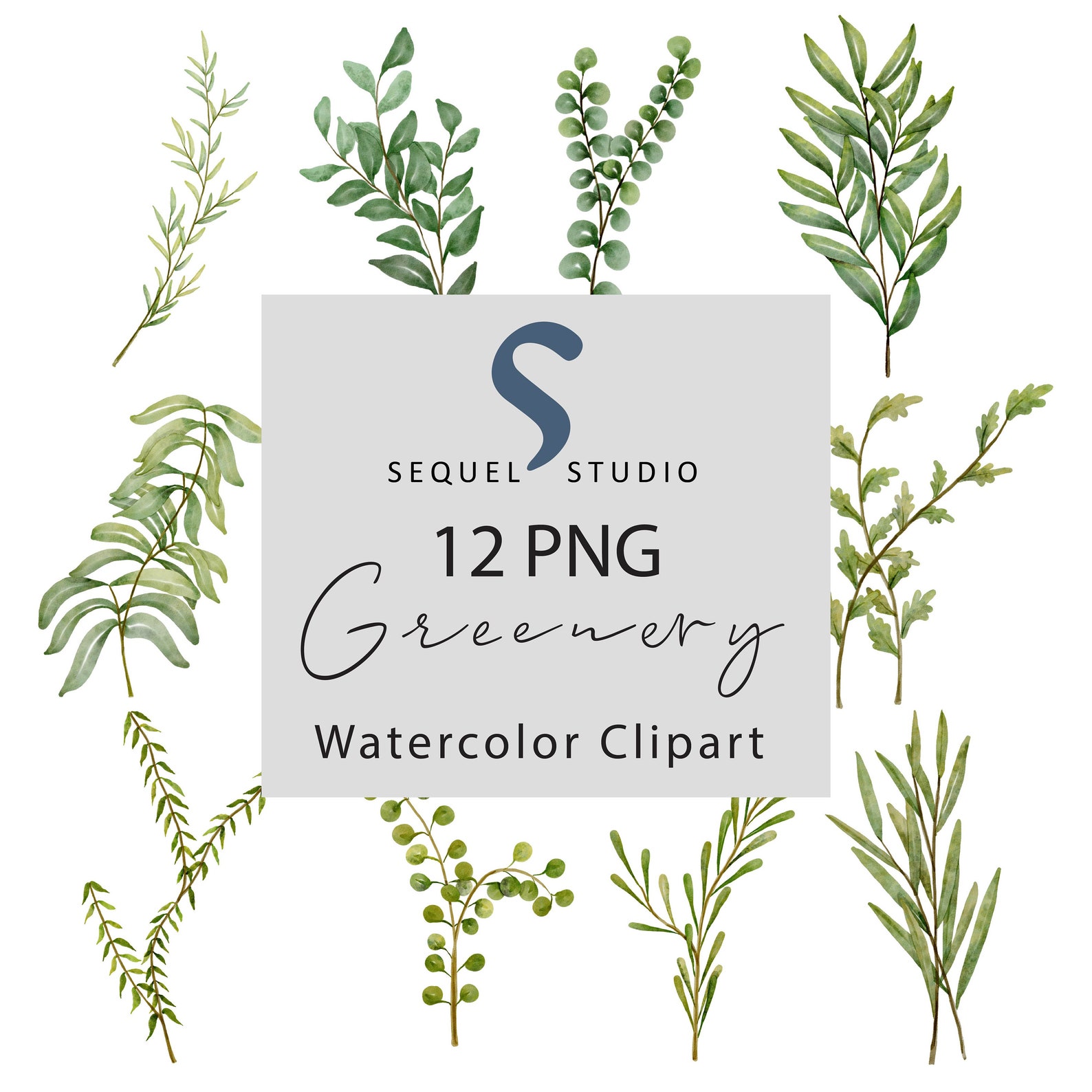 Greenery Watercolor Clipart, Digital Botanical Watercolor, Digital ...