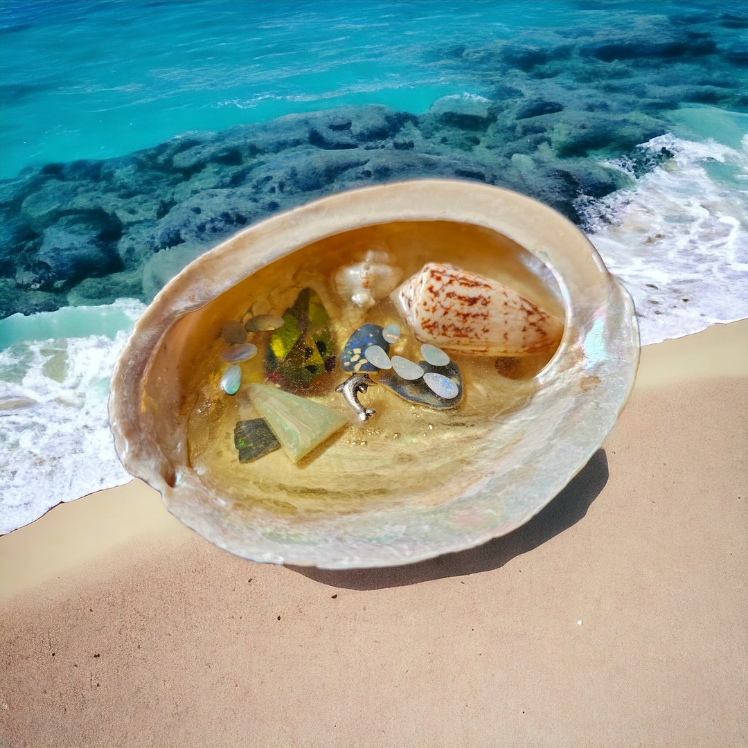 Australian Black Opal Resin Seashell - Etsy