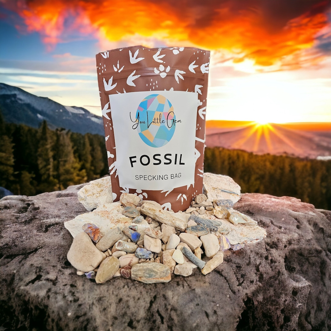 Fossil Specking Bag - Etsy