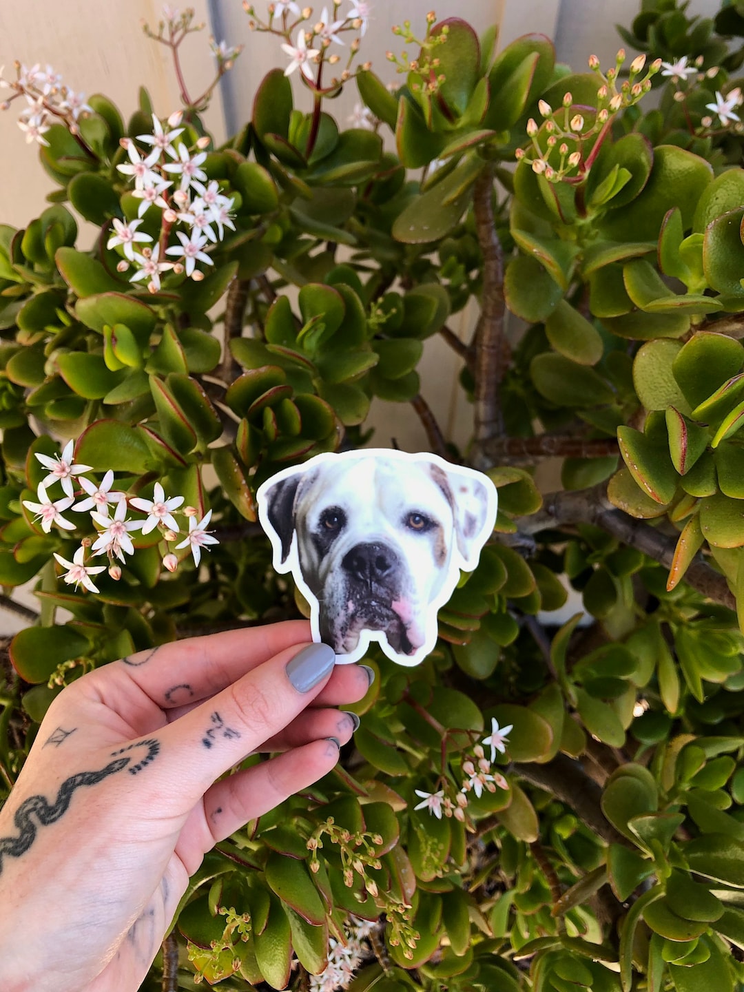 Stinky Pete Sticker - Etsy