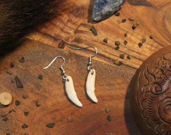 Real Coyote Fang Earrings Forestcore Fangs - Etsy