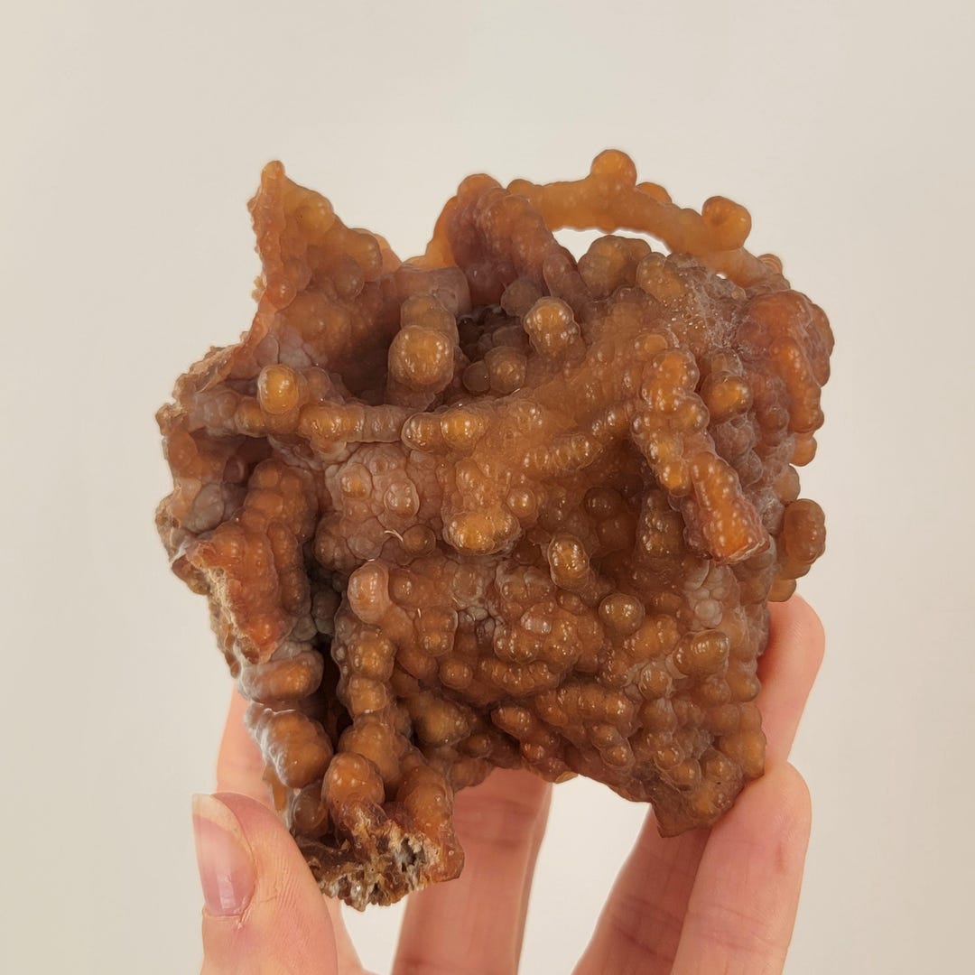 Agatized Coral From Georgia, UV Reactive, Bubbly Orange Botryoidal ...