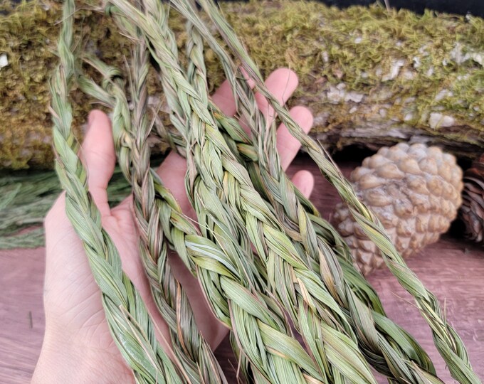 Braided Sweetgrass From Canada, Sustainably Harvested by First Nations ...