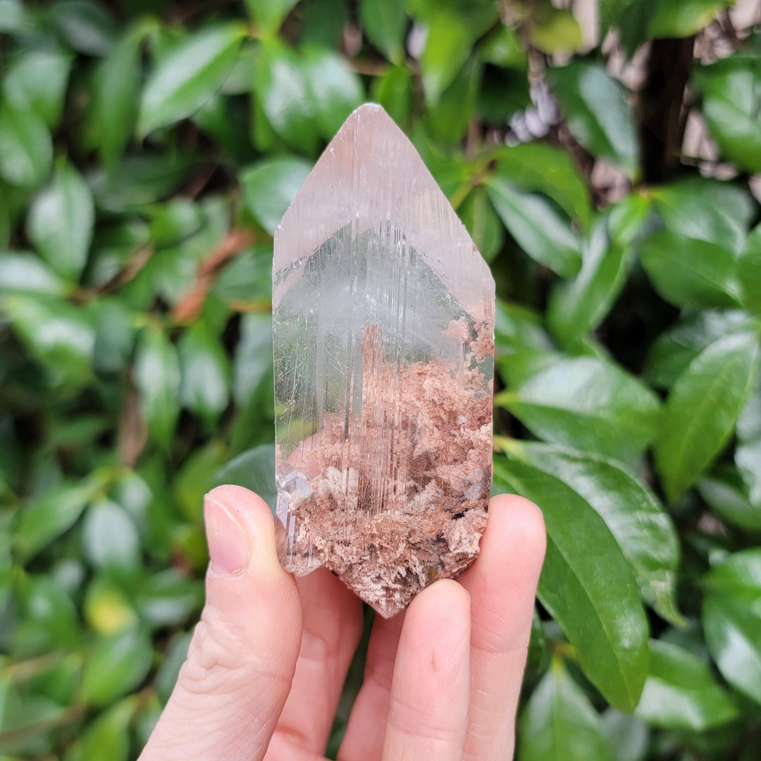 Included Selenite Crystal From Bermejillo, Durango, Mexico, New Find ...
