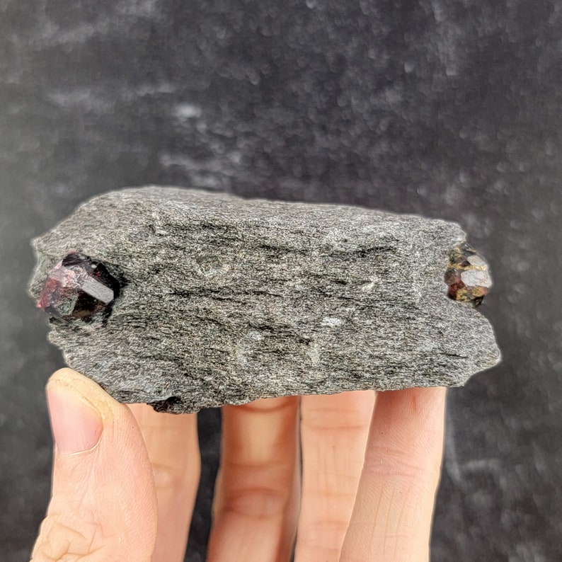 Almandine Garnet in Schist Matrix From Garnet Ledge, Wrangell, Wrangell ...