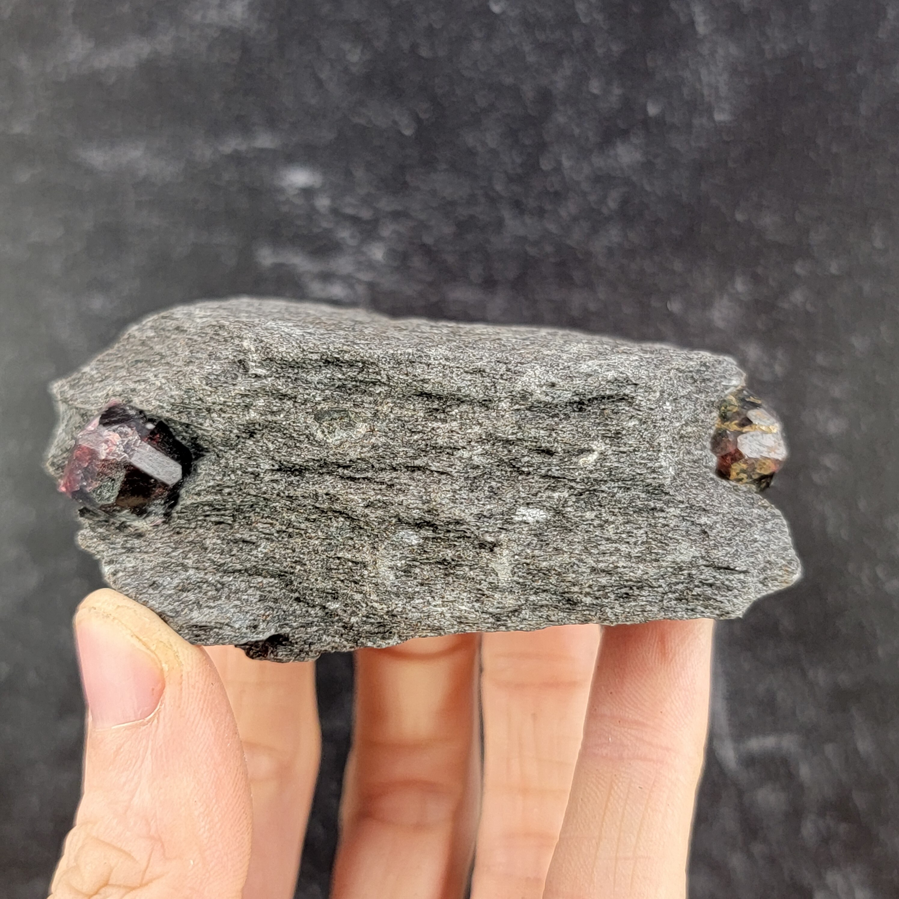 Almandine Garnet in Schist Matrix From Garnet Ledge, Wrangell, Wrangell ...