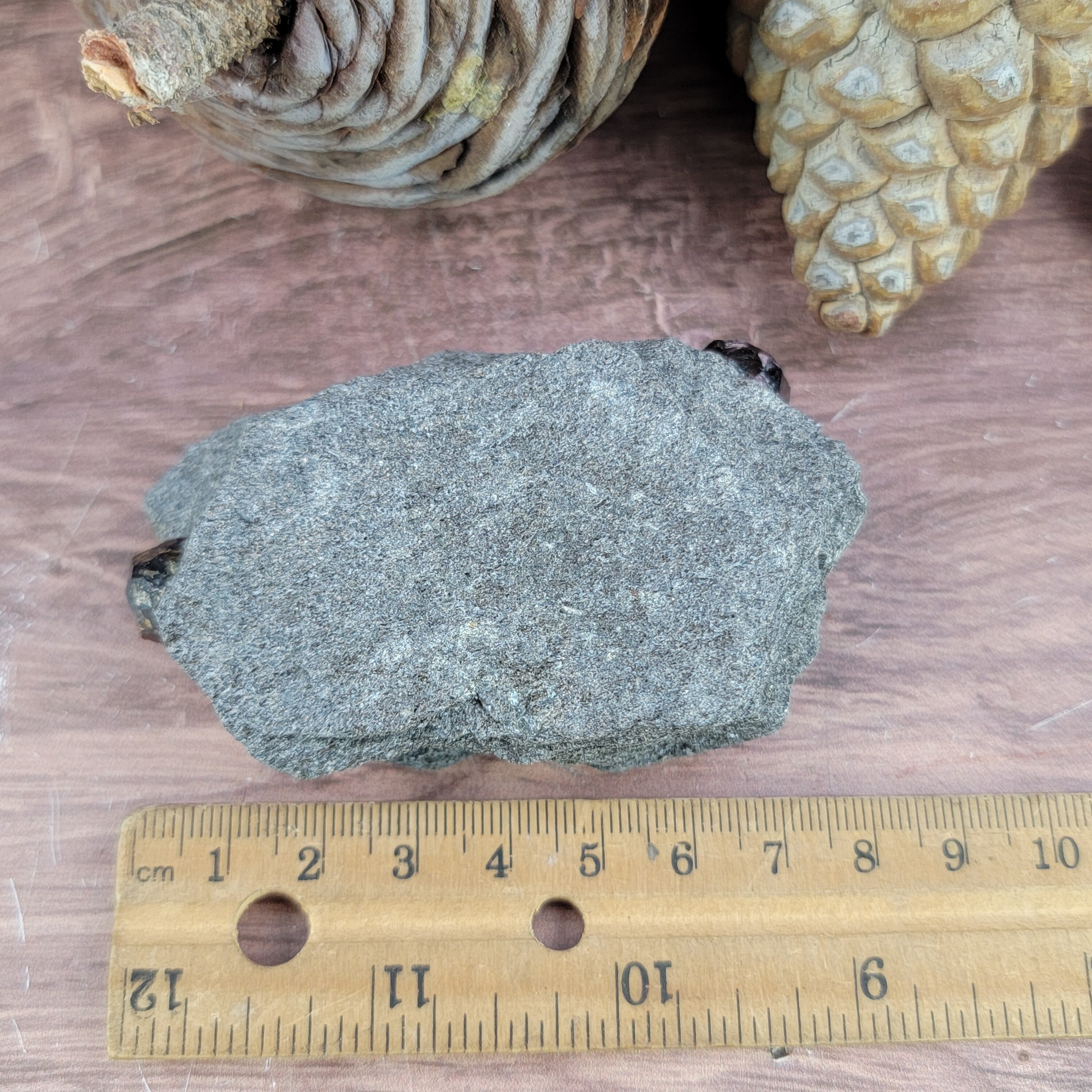 Almandine Garnet in Schist Matrix From Garnet Ledge, Wrangell, Wrangell ...