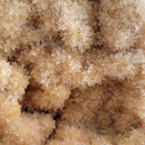 UV Reactive Calcite Geode From Muldraugh Hill, Kentucky, Large ...