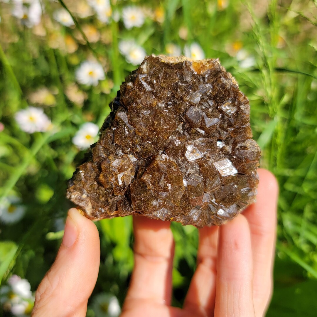 Andradite Garnet Cluster From Stanley Butte, Arizona, USA, American ...