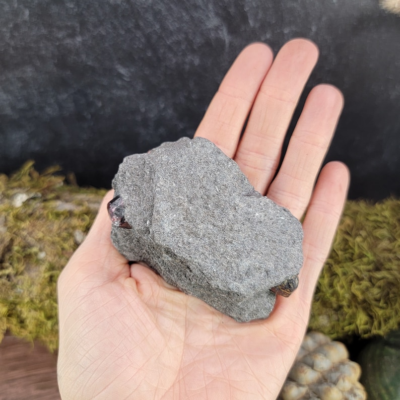 Almandine Garnet in Schist Matrix From Garnet Ledge, Wrangell, Wrangell ...