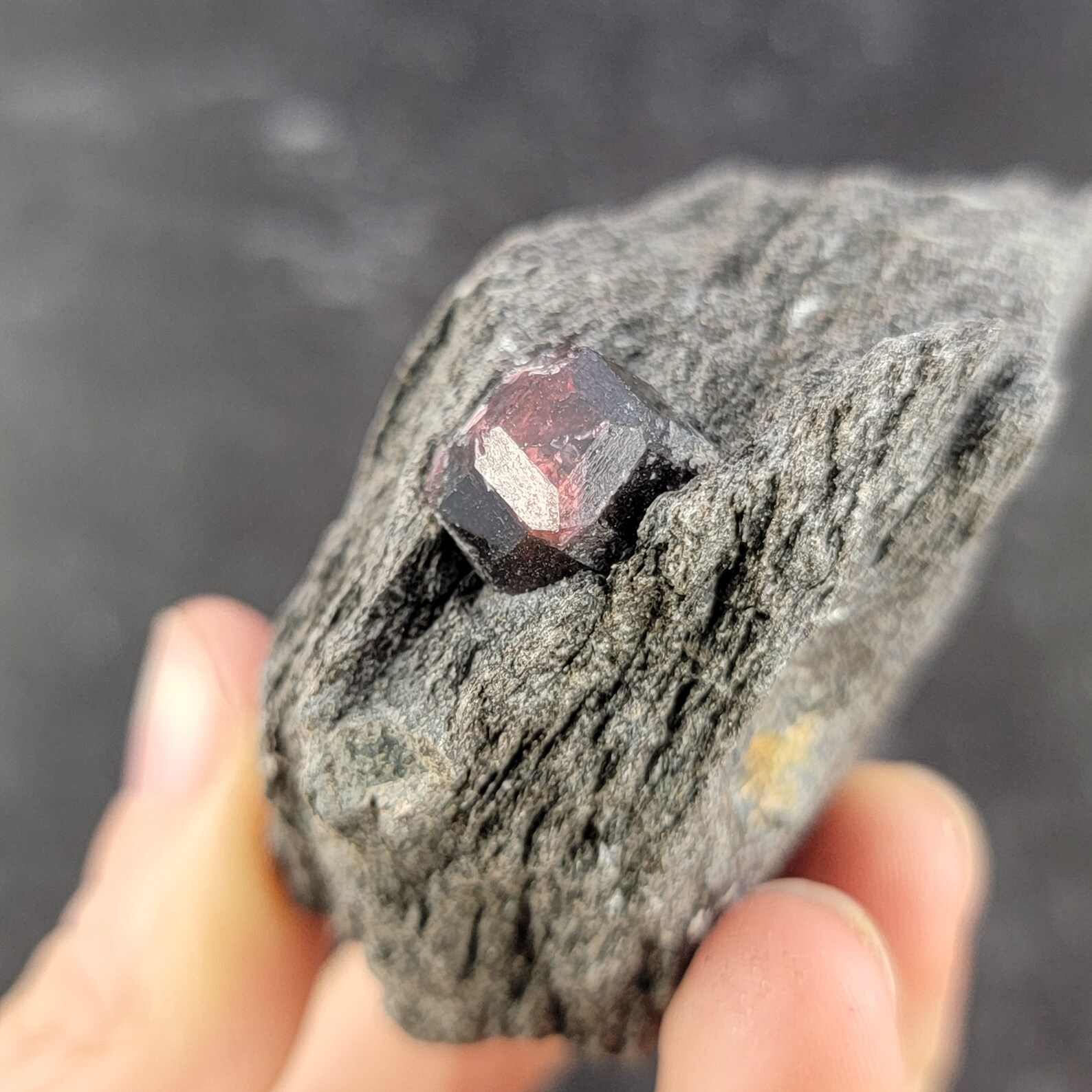 Almandine Garnet in Schist Matrix From Garnet Ledge, Wrangell, Wrangell ...