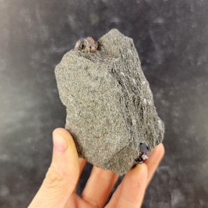 Almandine Garnet in Schist Matrix From Garnet Ledge, Wrangell, Wrangell ...