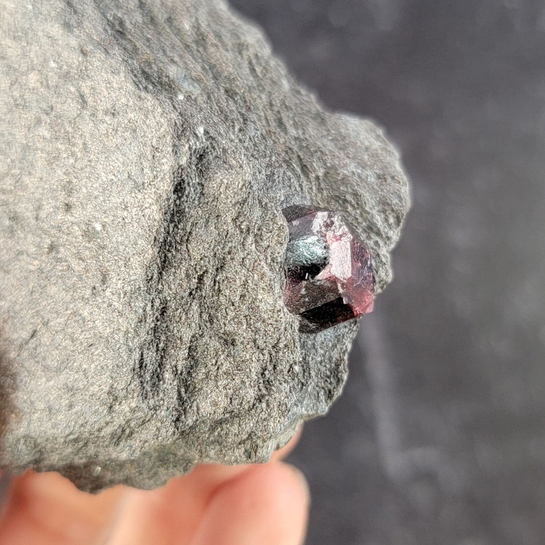 Almandine Garnet in Schist Matrix From Garnet Ledge, Wrangell, Wrangell ...