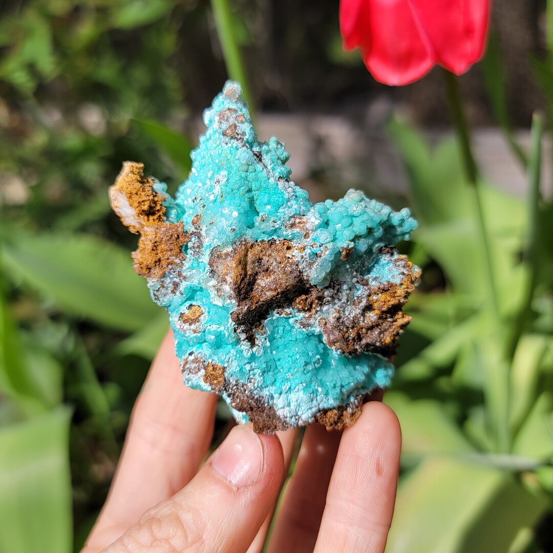 Botryoidal Smithsonite From the Kelly Mine Magdalena Mining - Etsy