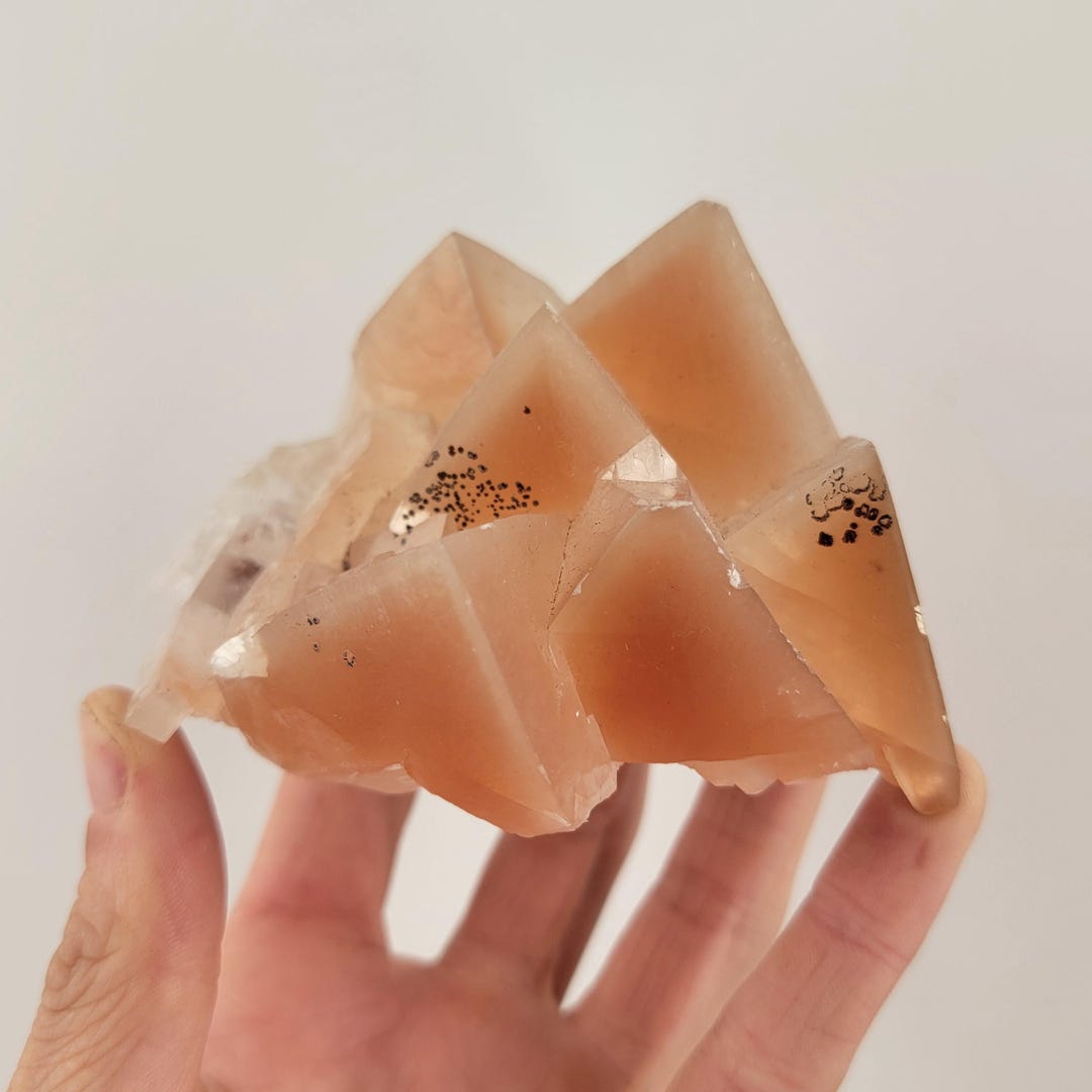 Butterfly Phantom Calcite From Santa Eulalia, Mexico, "mariposa" Style ...