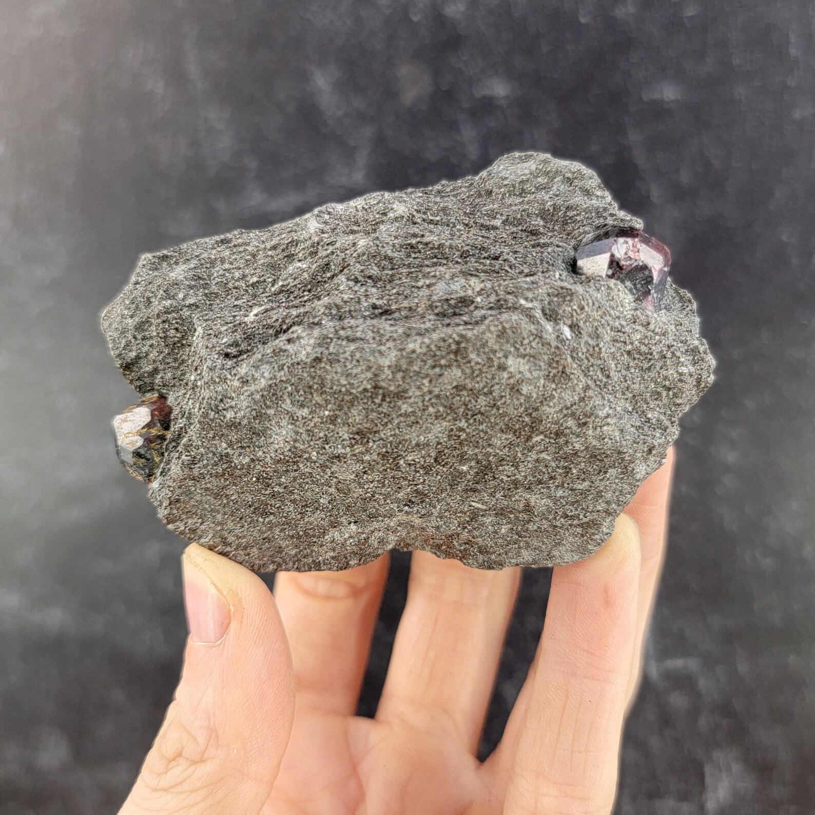 Almandine Garnet in Schist Matrix From Garnet Ledge, Wrangell, Wrangell ...
