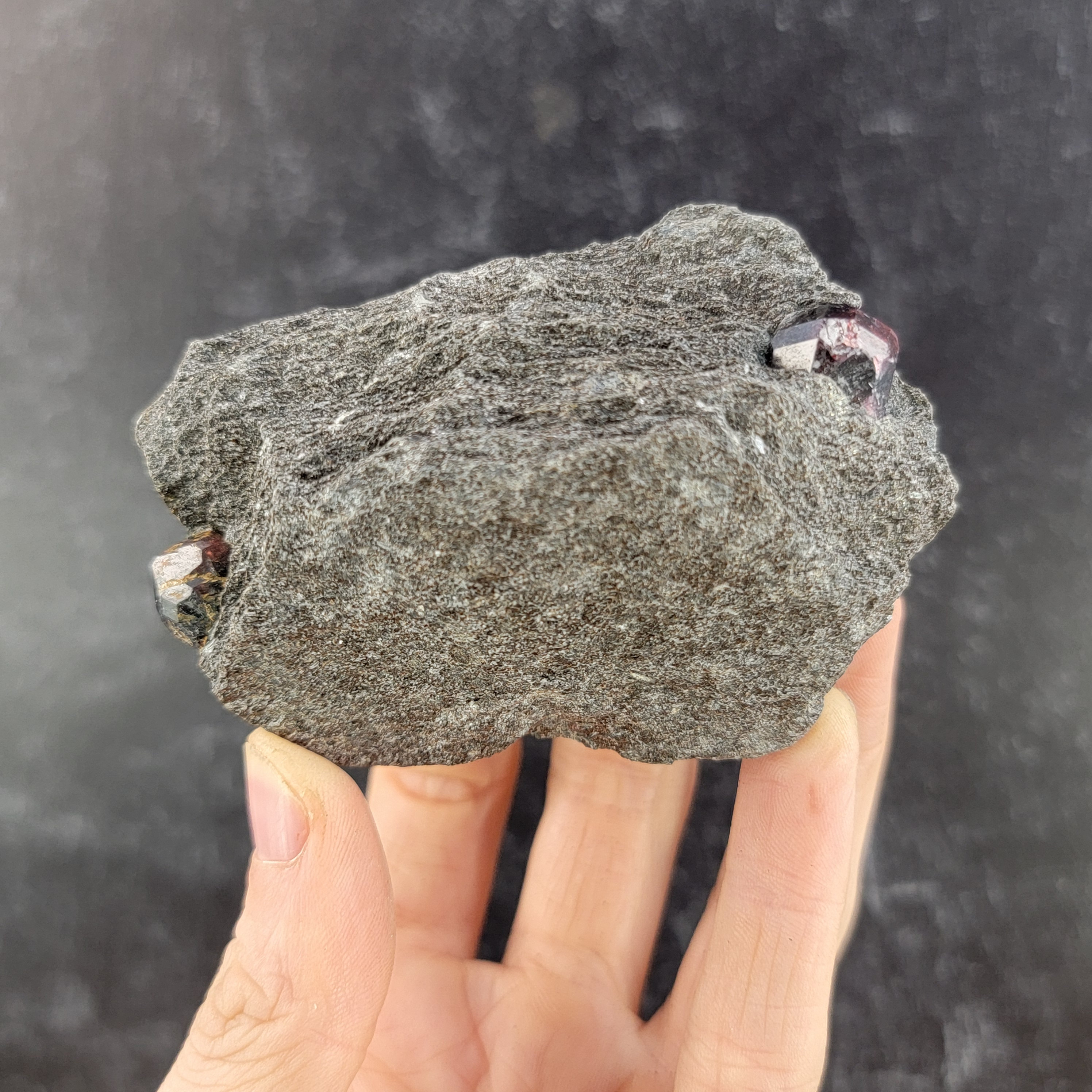 Almandine Garnet in Schist Matrix From Garnet Ledge, Wrangell, Wrangell ...