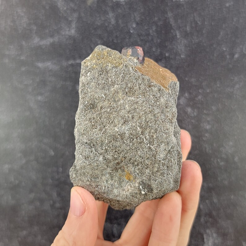 Almandine Garnet in Schist Matrix From Garnet Ledge, Wrangell, Wrangell ...