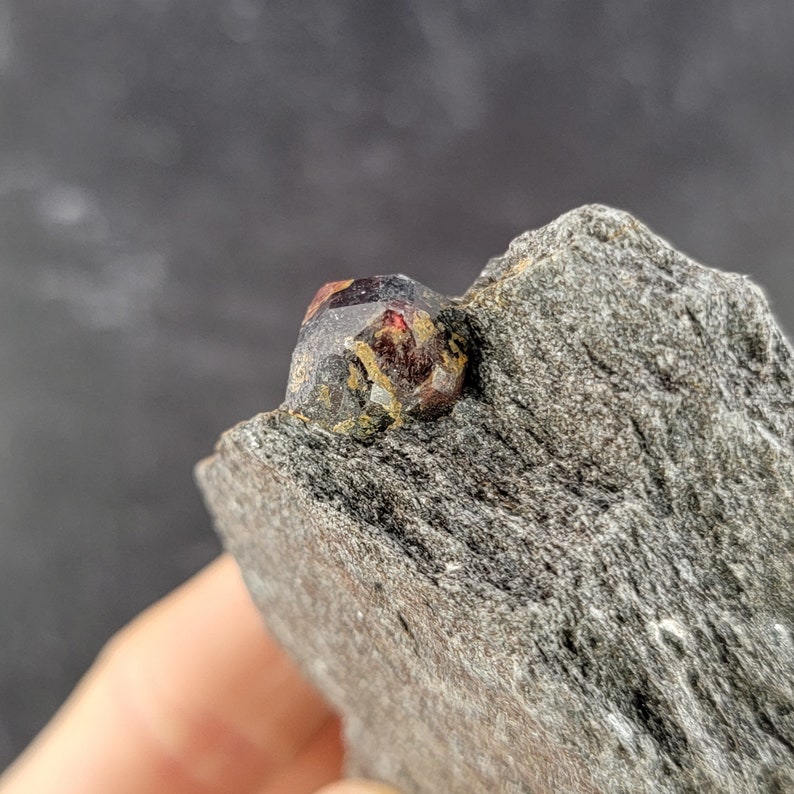 Almandine Garnet in Schist Matrix From Garnet Ledge, Wrangell, Wrangell ...