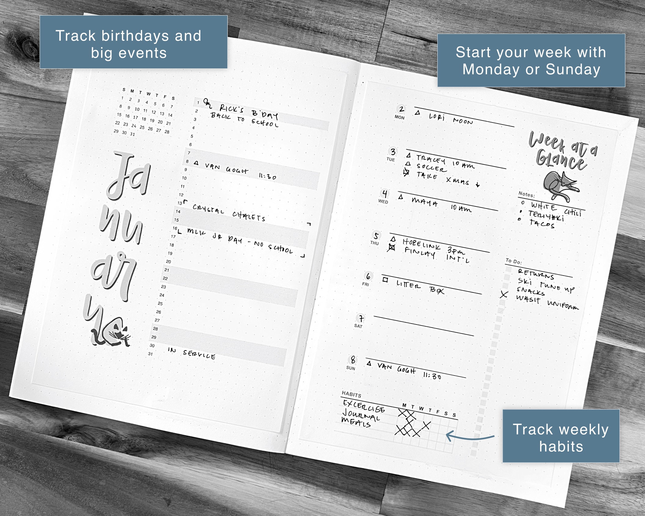 Bullet Point Journal Starter Kit Cat Themed Bundle Printable, Weekly ...