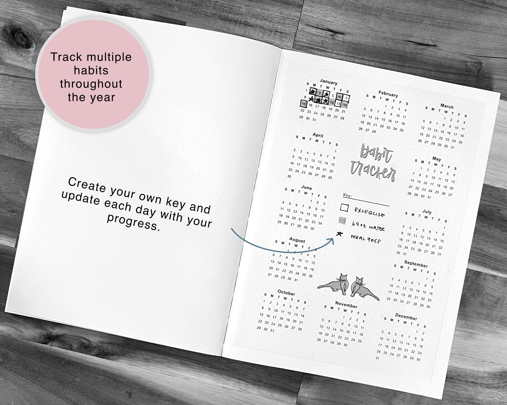 Bullet Point Journal Starter Kit Cat Themed Bundle Printable, Weekly ...