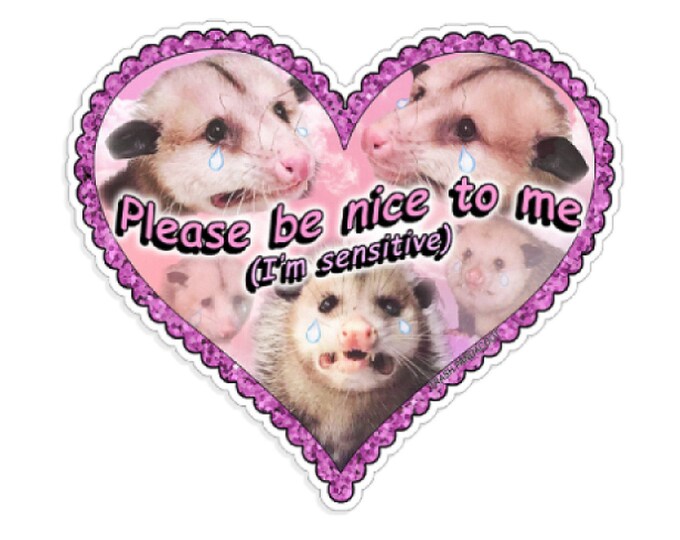 Please Be Nice to Me (i'm Sensitive) - Funny Possum Sticker, Pastel ...