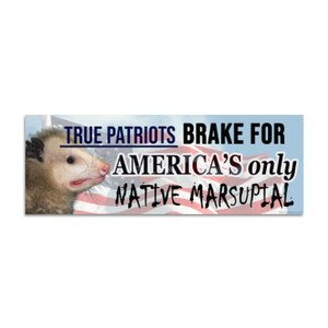 Flavortown Guy Fieri Funny Bumper Sticker Car Decal Waterproof - Etsy