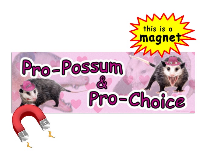 Possum MAGNET - Pro-possum & Pro-choice - Funny Opossum Weather ...