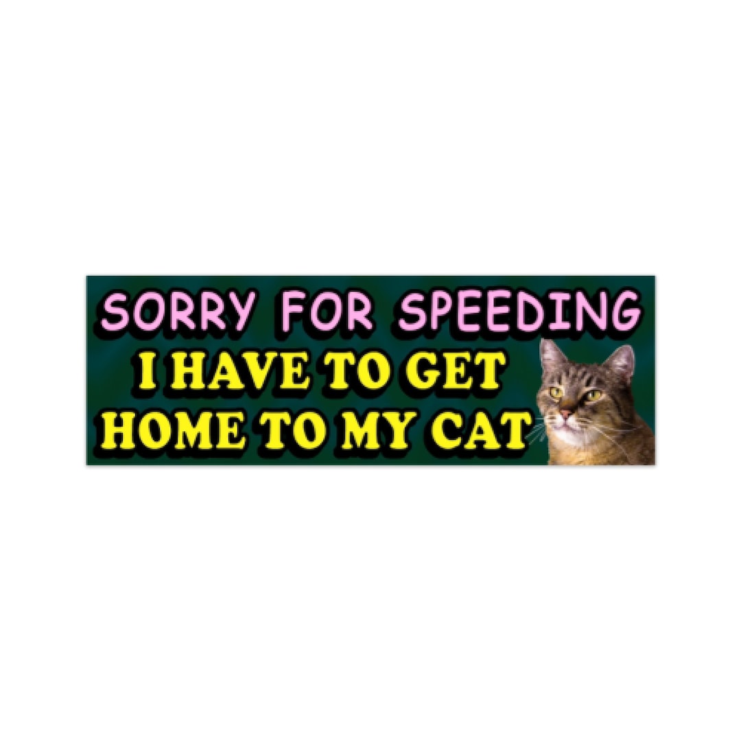 Funny Bumper Sticker - Sorry for Speeding, I Have to Get Home to My Cat ...