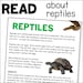 Printable Reptile Escape Room Game, Kids Birthday Party Activity ...
